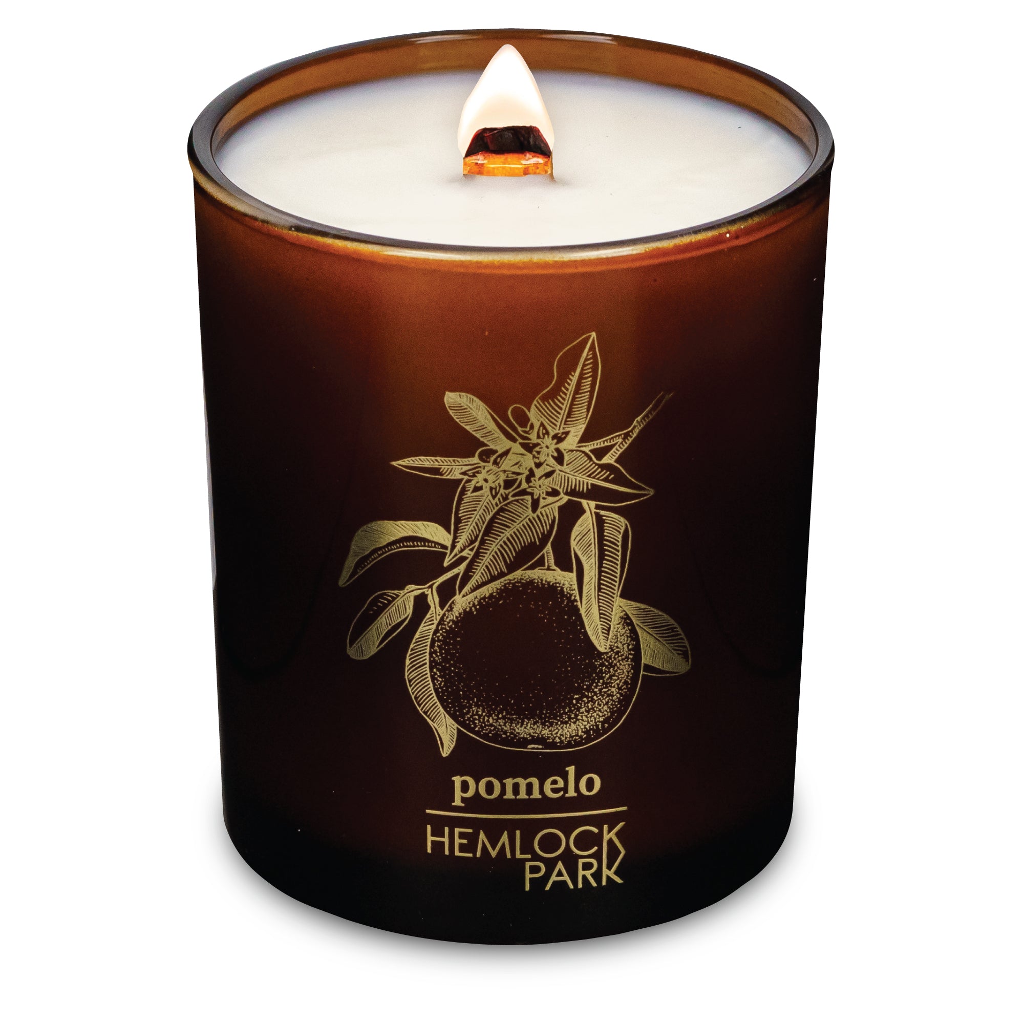 Pomelo Citrus | Amber & Gold Wood Wick Candle – Hemlock Park