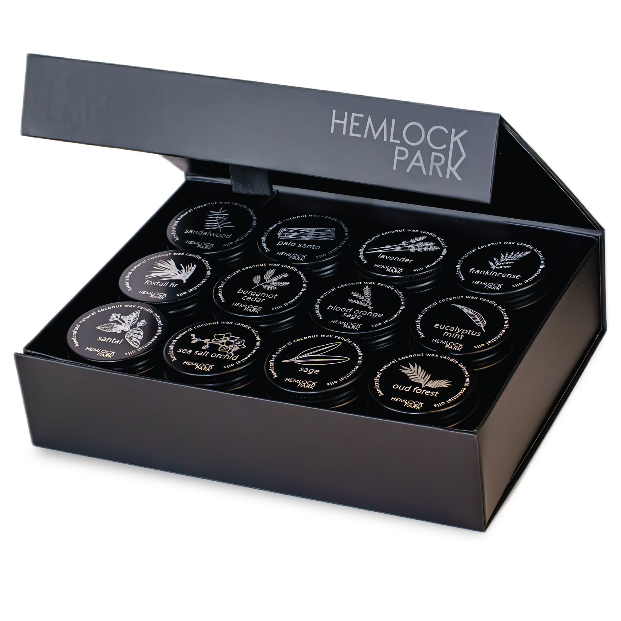 Discovery Collection | 24 Travel-Size Coconut Wax Tea Lights – Hemlock Park